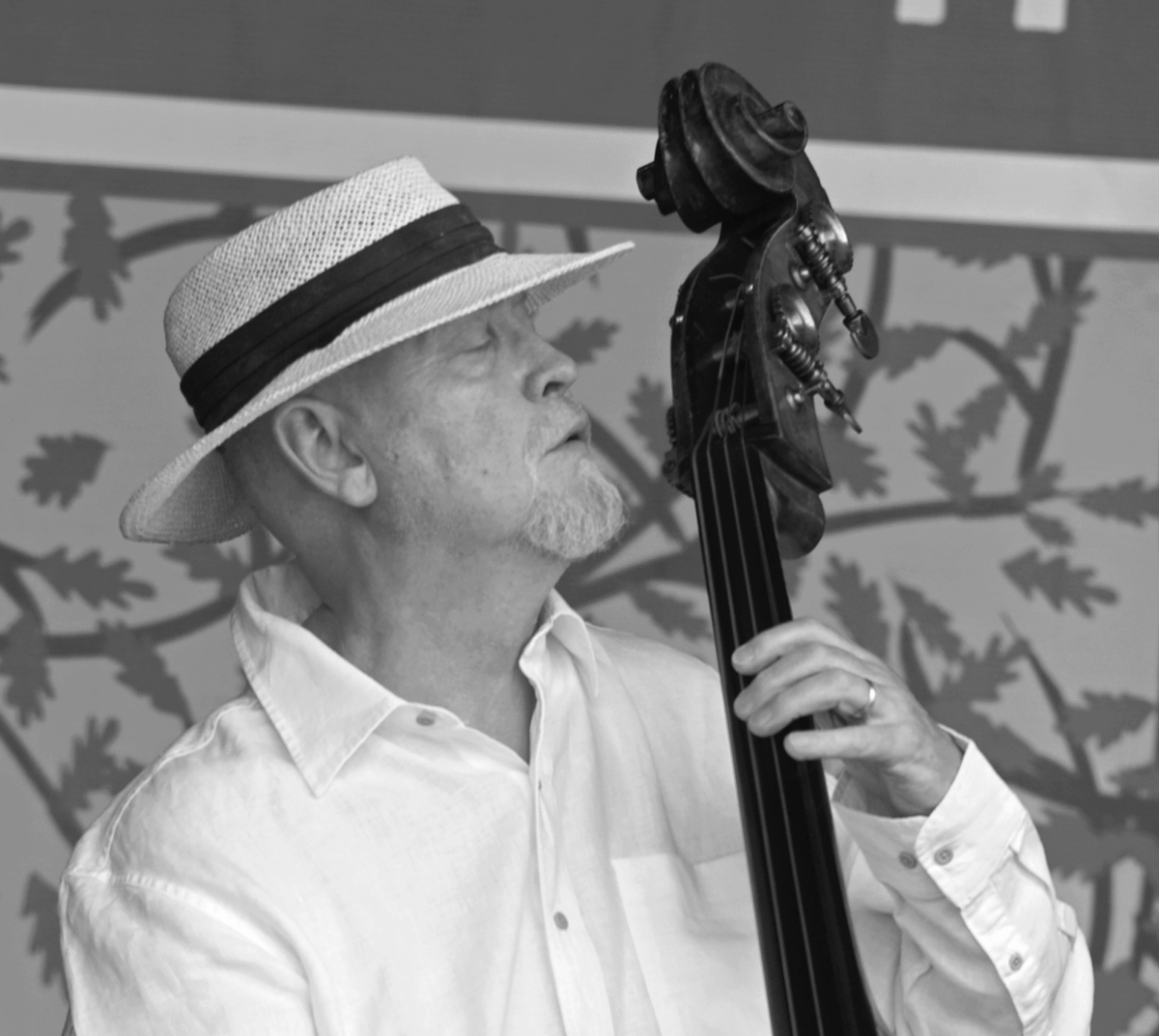 Danny Thompson | folker.world