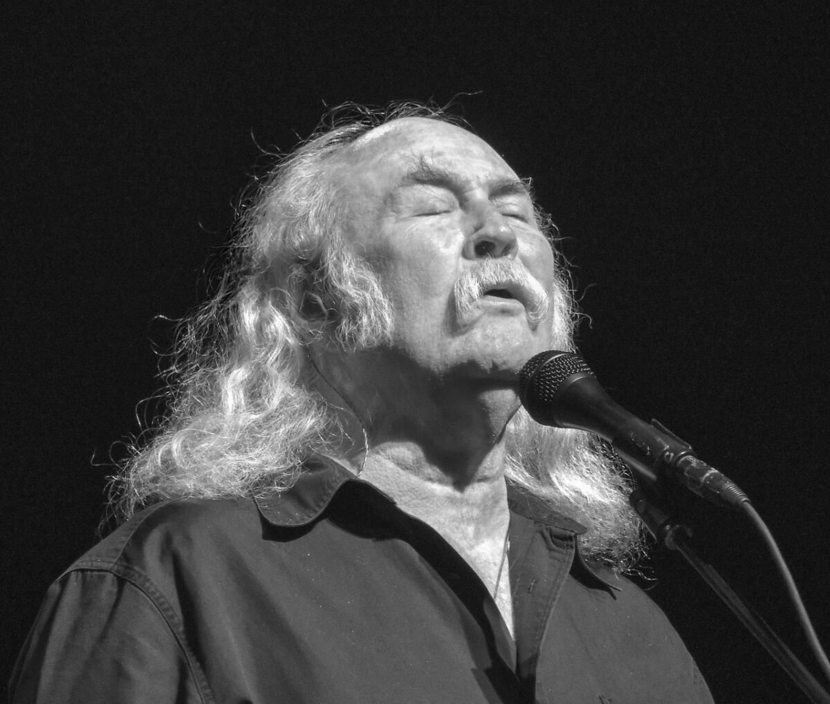 David Crosby | folker.world